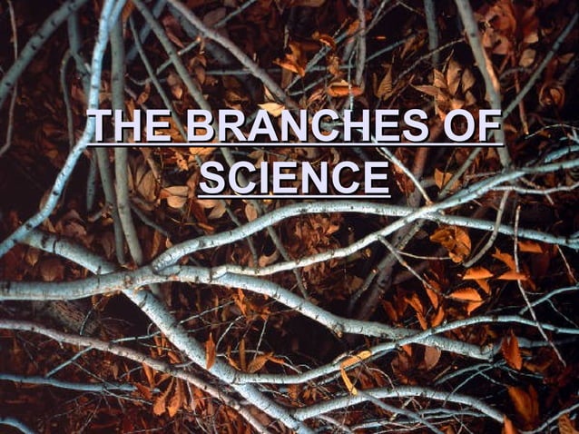the_branches_of_science AND ITS IMPORTANCE_ppt.ppt