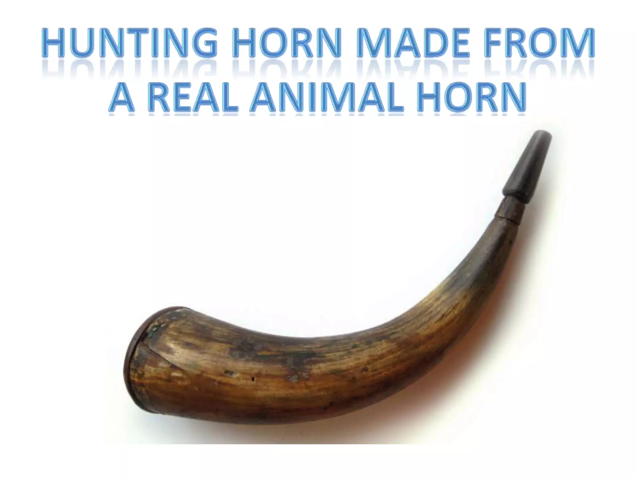 The Brass Family | PPTX