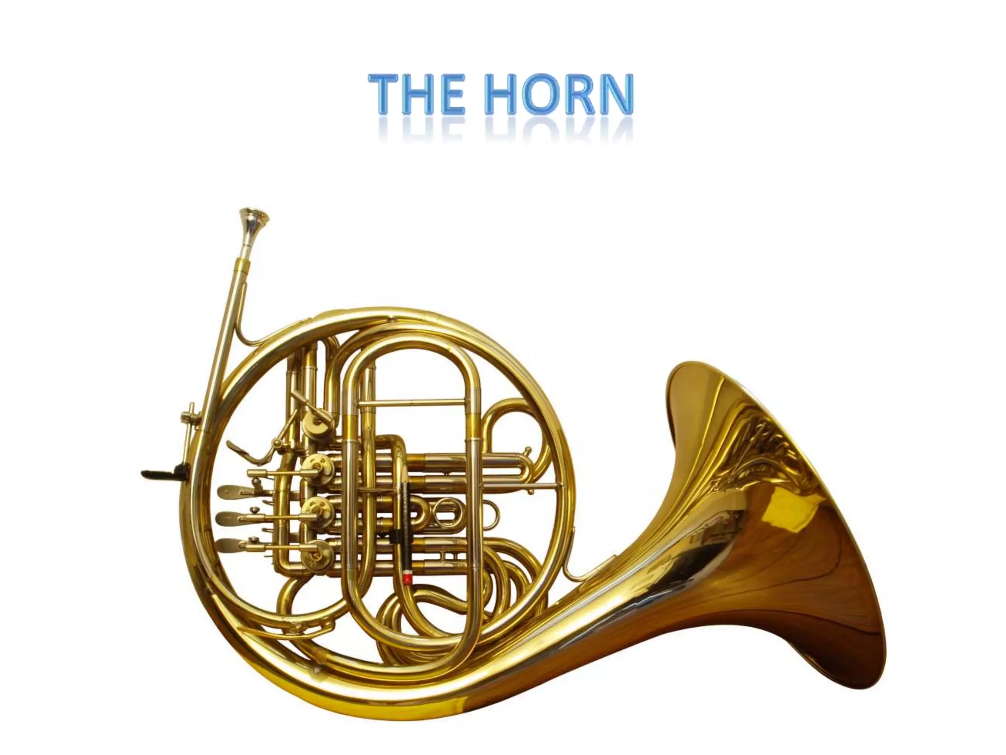 The Brass Family | PPTX