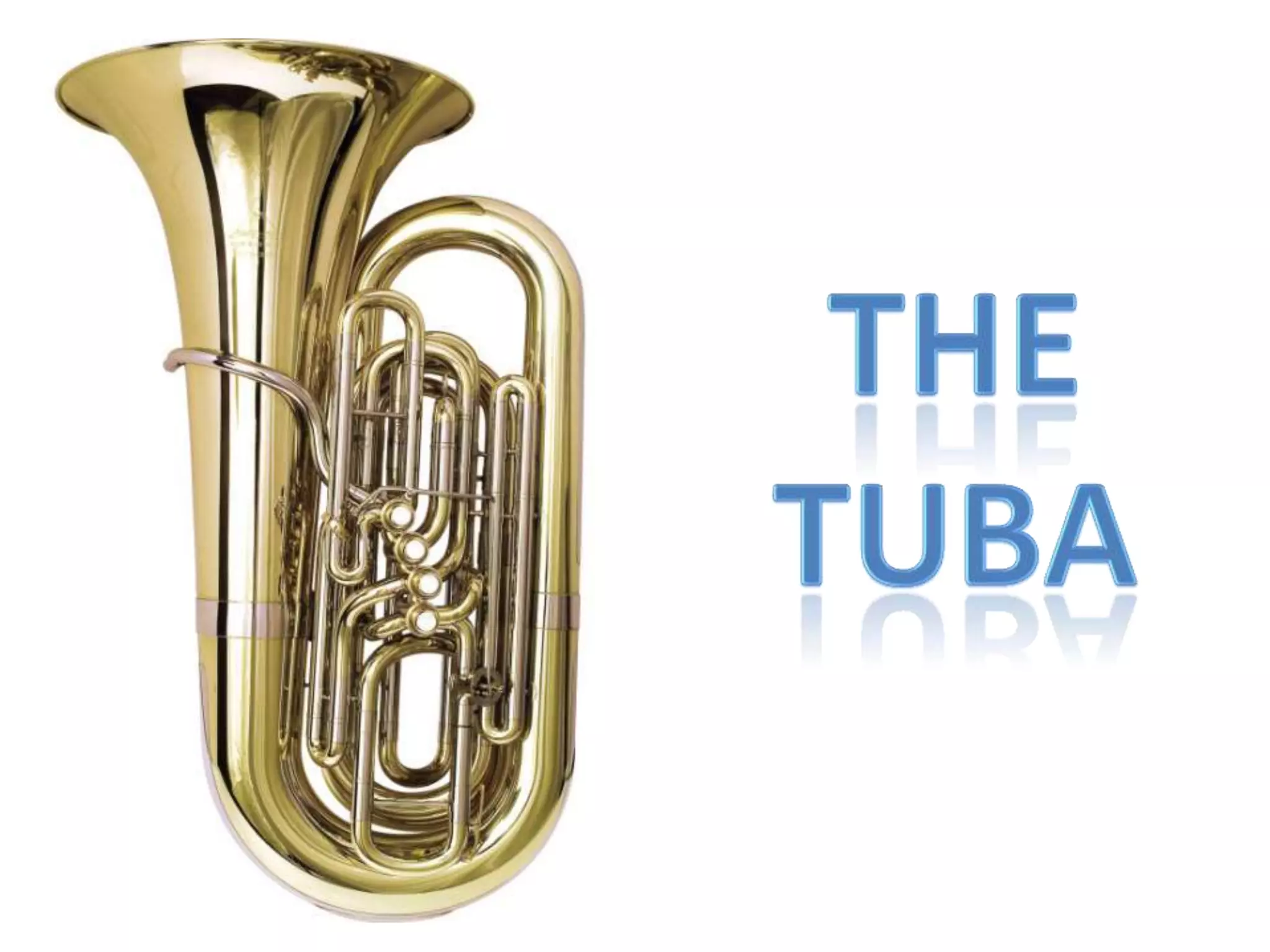 The Brass Family | PPTX