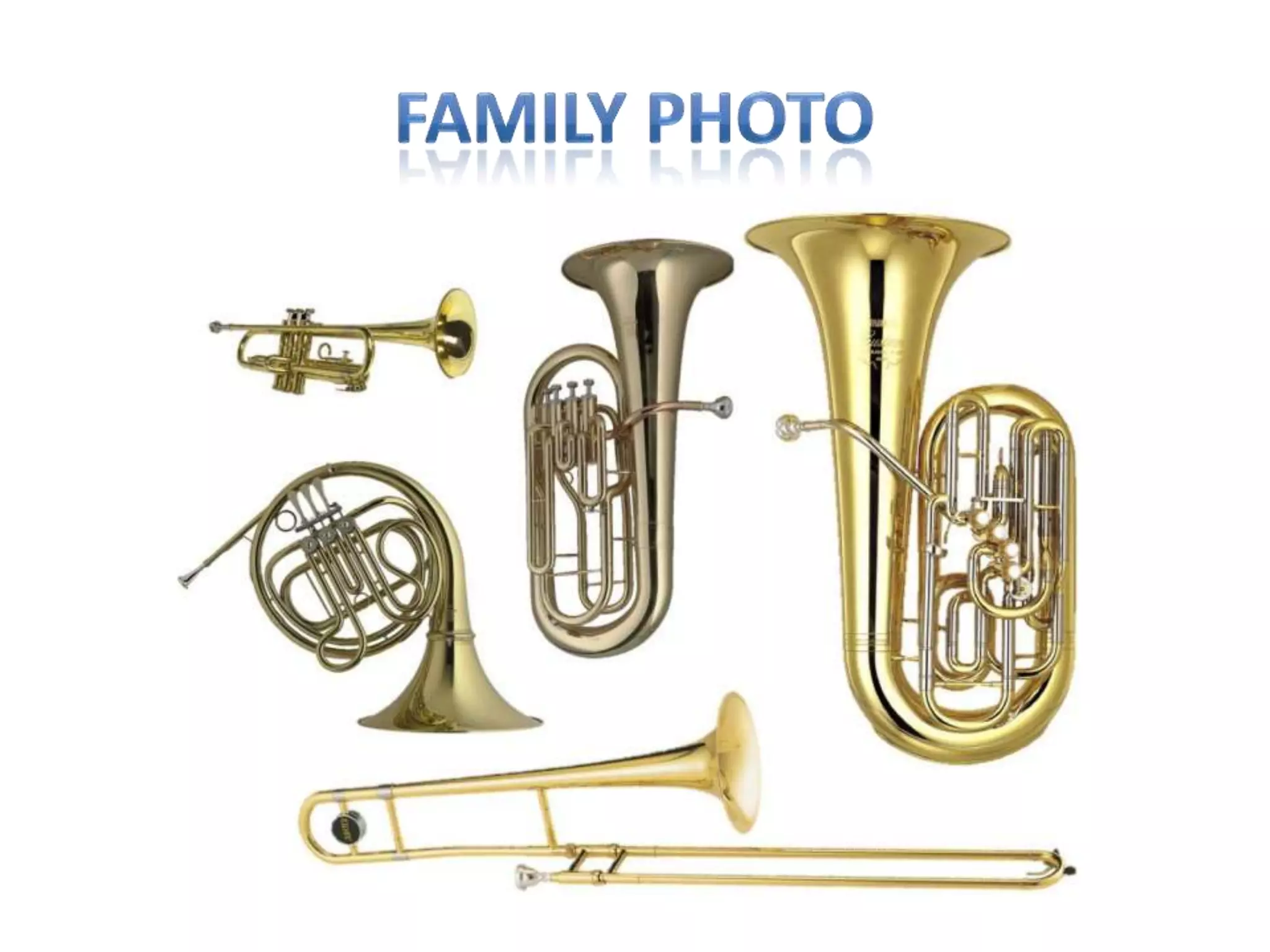 The Brass Family | PPTX