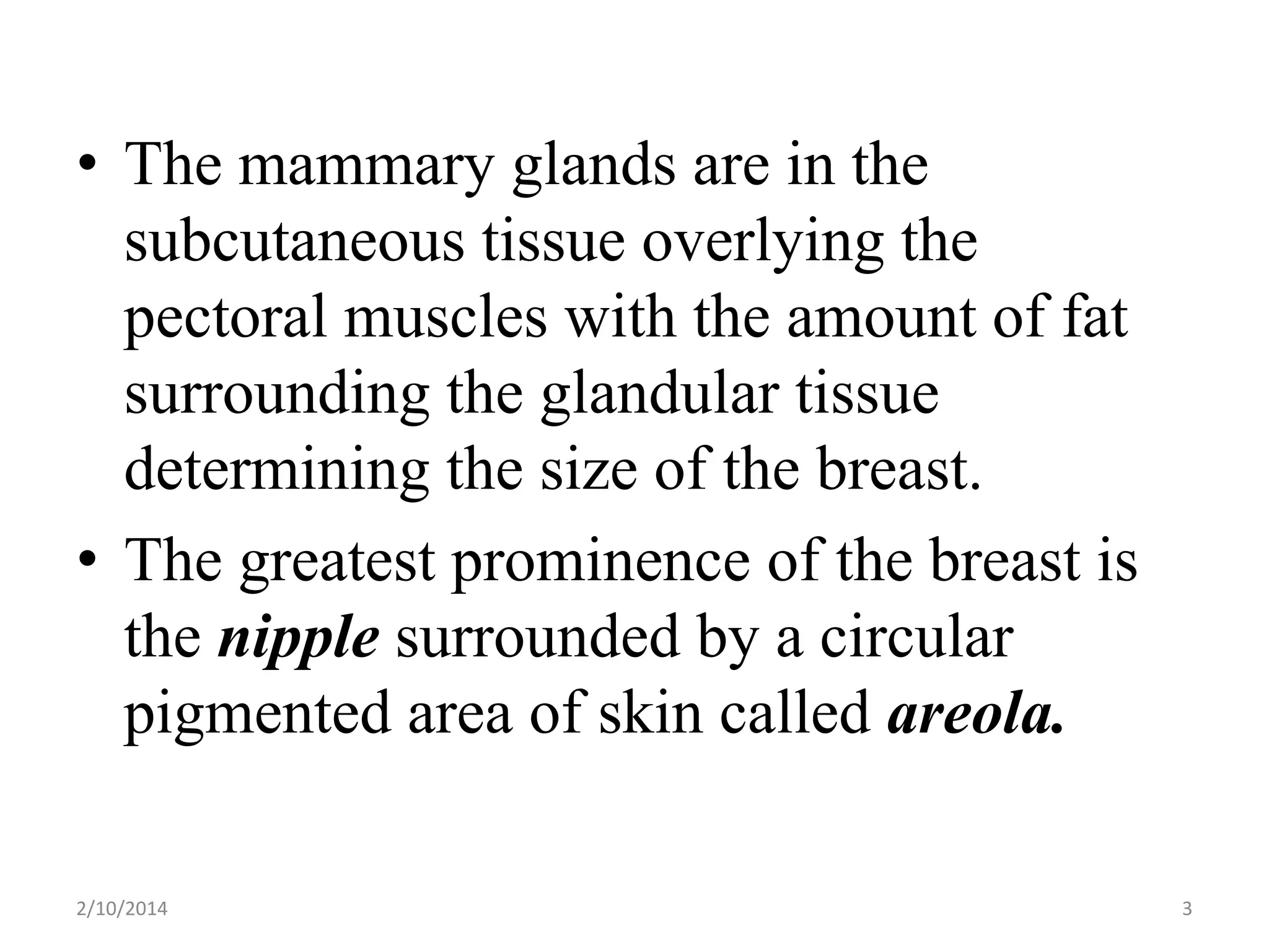 The breast | PPTX