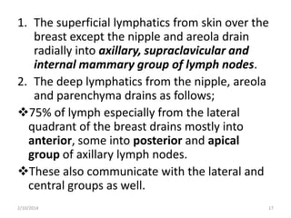 The breast | PPTX