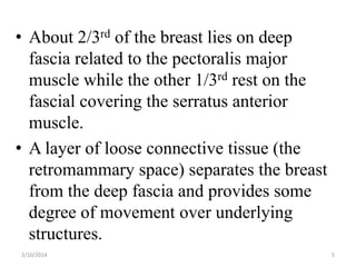 The breast | PPTX