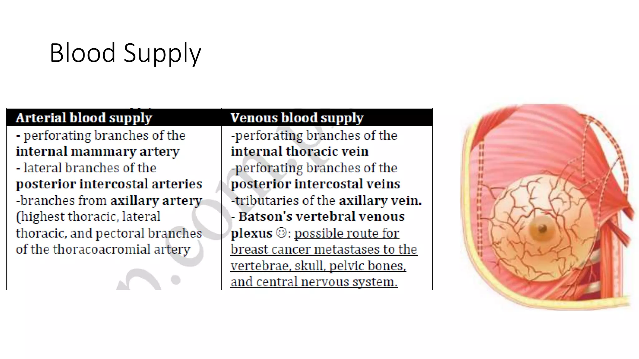 The breast ANATOMY PHYSIOLOGY BENIGN AND MALIGNANT LESION | PPT