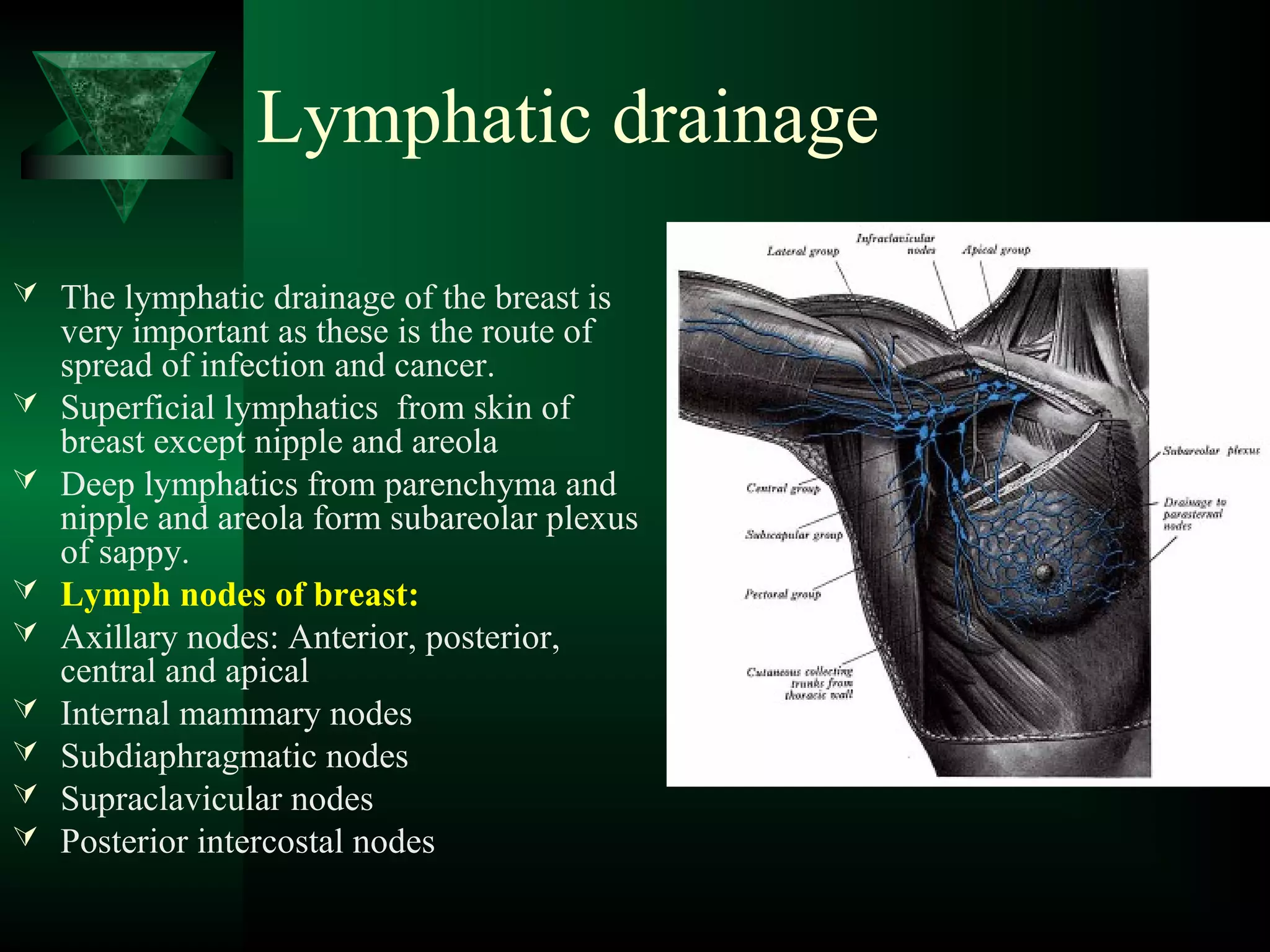 Anatomy of Breast in clinical perspective-Dr.Gosai | PPT