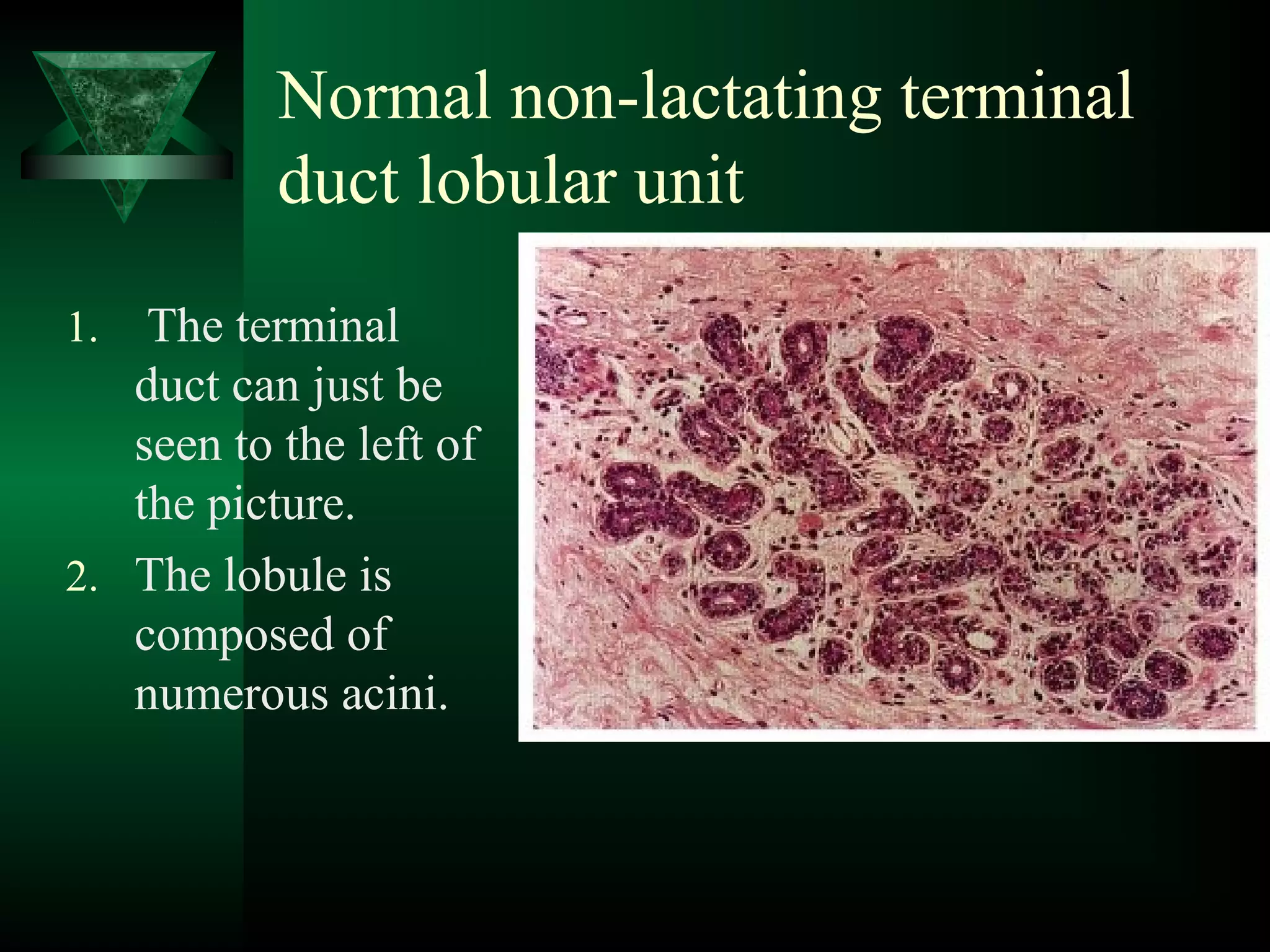 Anatomy of Breast in clinical perspective-Dr.Gosai | PPT