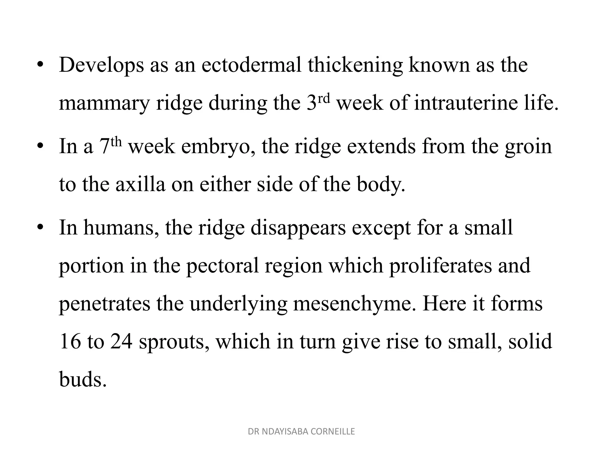 The breast and pectoral region | PPTX