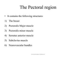 The breast and pectoral region | PPTX