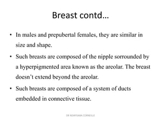 The breast and pectoral region | PPTX