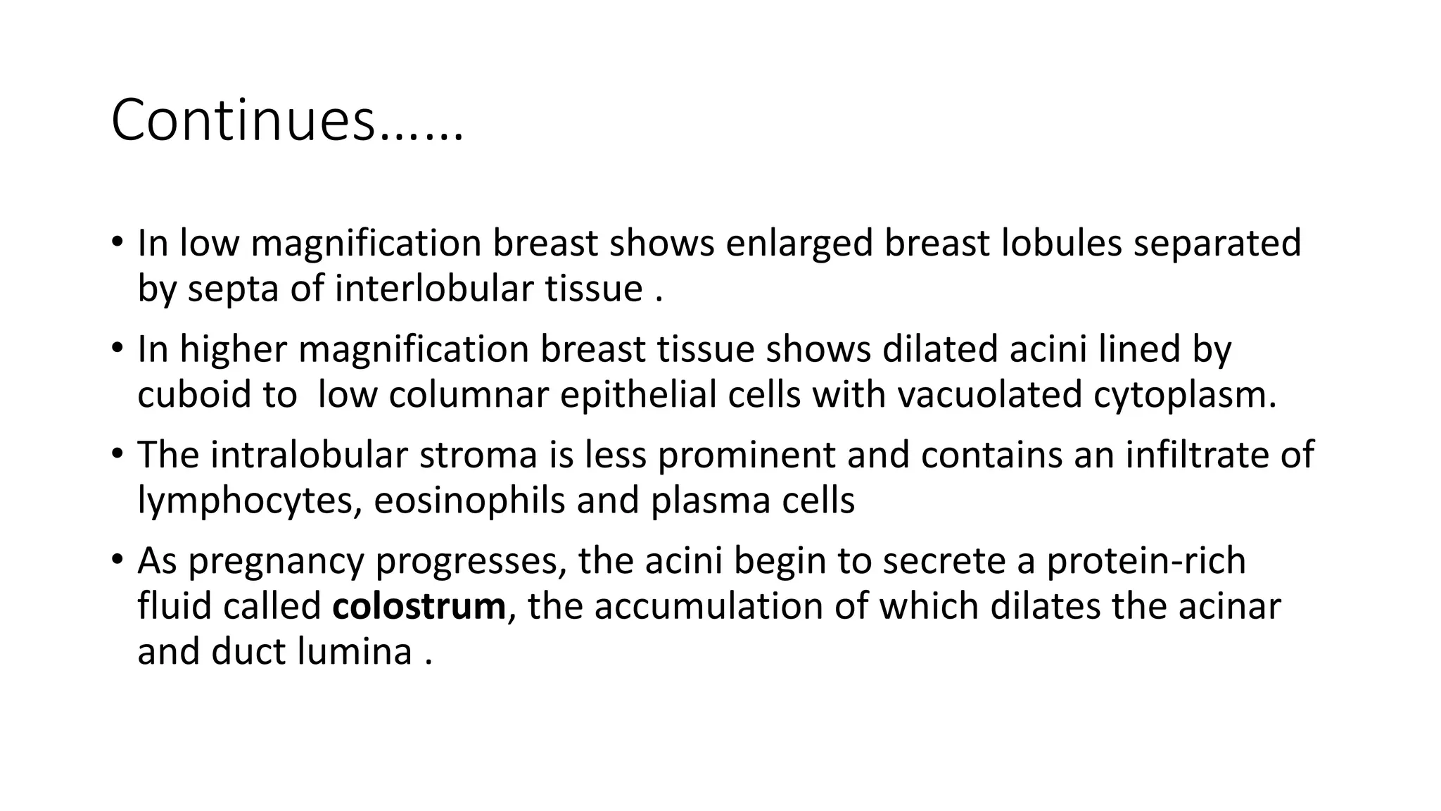 THE BREAST(MAMMERY GLAND].pptx
