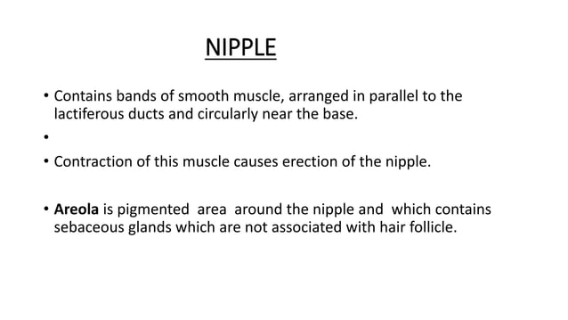 THE BREAST(MAMMERY GLAND].pptx | Pregnancy | Reproductive Health