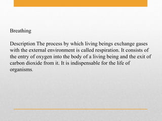 The breathing | PPTX