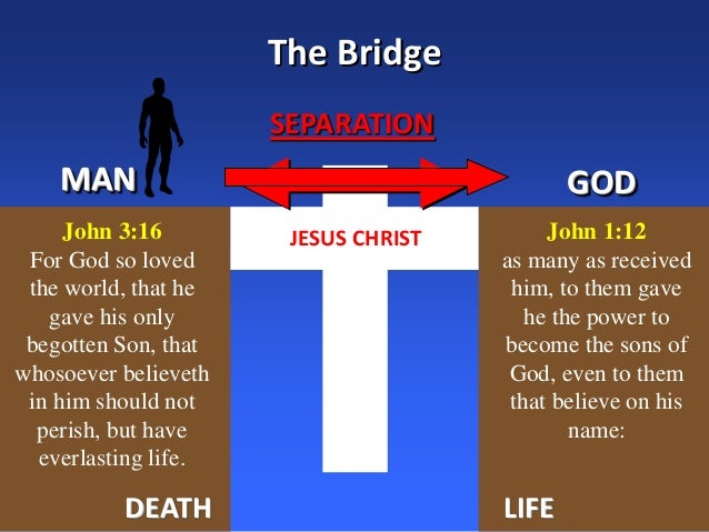 The bridge to Life
