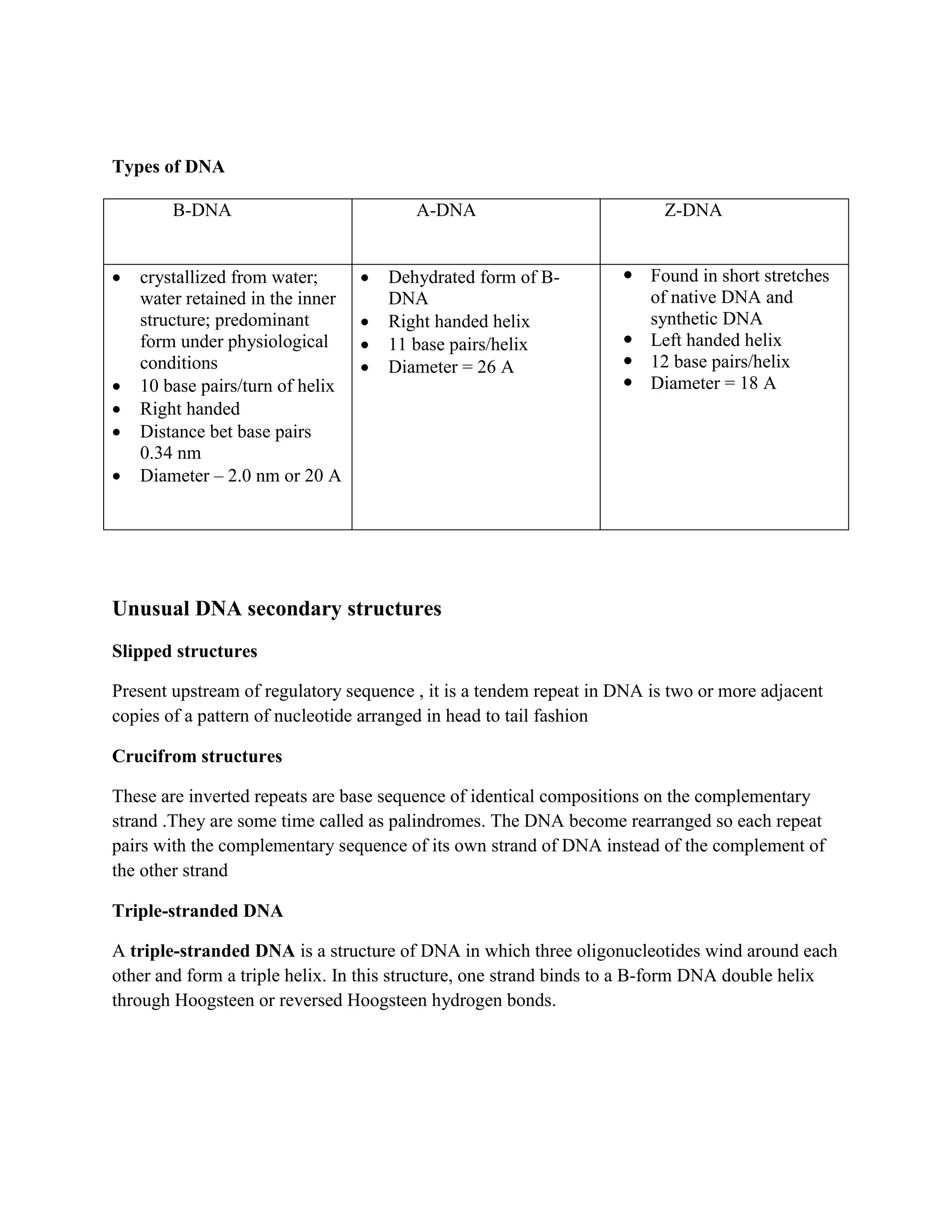 The brief structures of DNA | DOCX