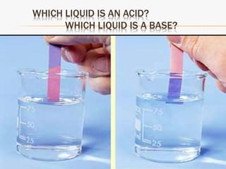 Acid,Bases And Salt (SciEnce) | PPTX