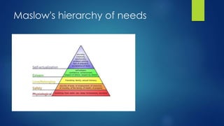 The brilliant pyramid outlines the 6 steps to | PPT
