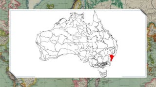 The british colonisation of australia | PPTX