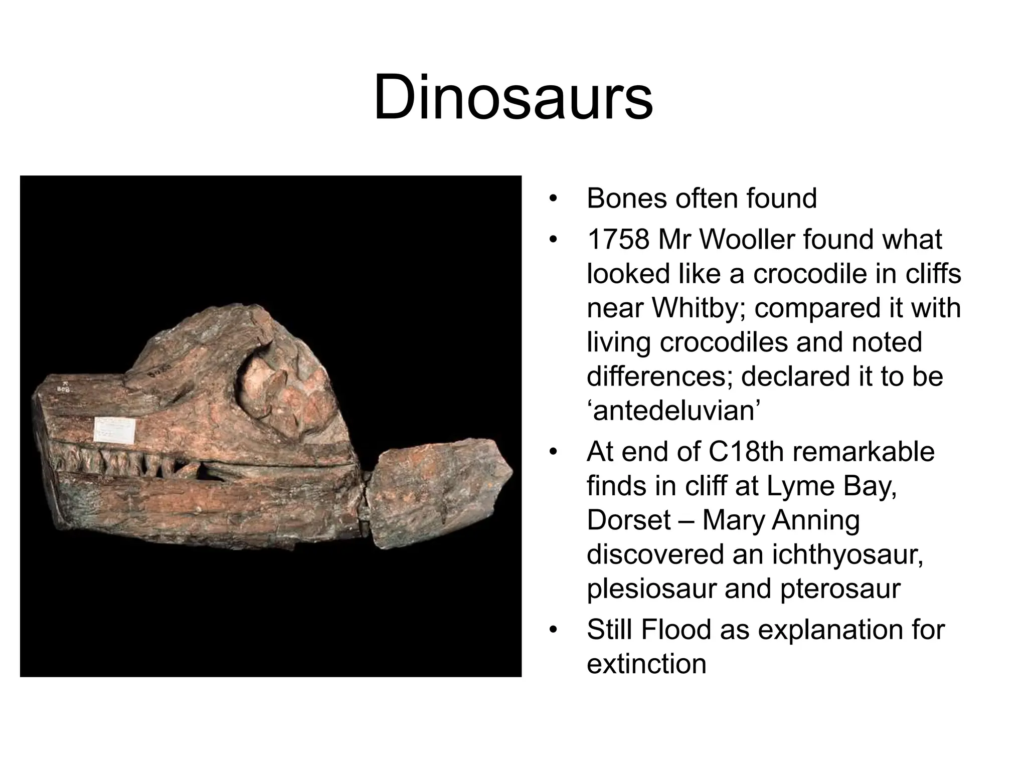 The British Museum | PPT