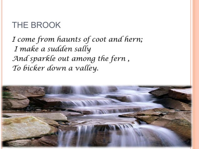 The brook | PPT