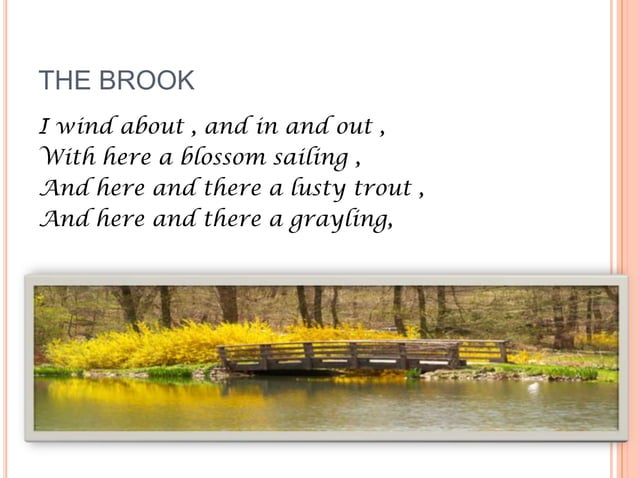 The brook | PPT
