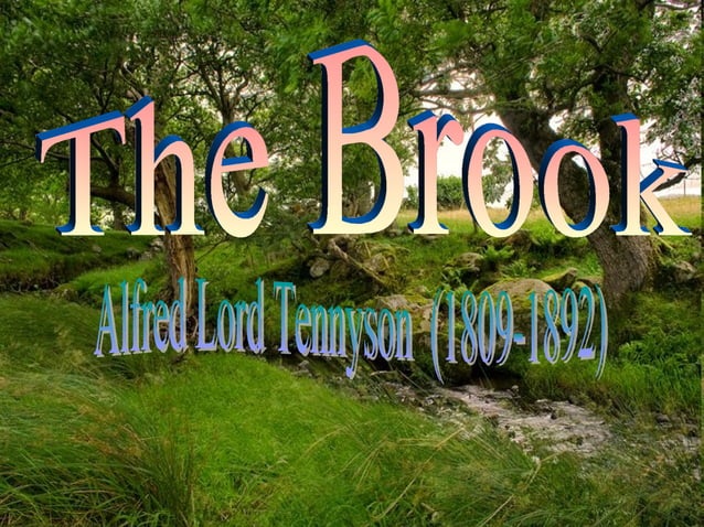 The brook | PPT