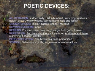 The brook | PPT