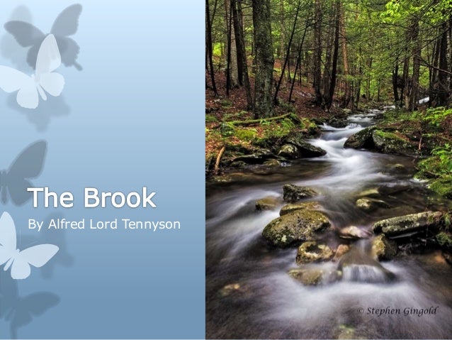 The brook