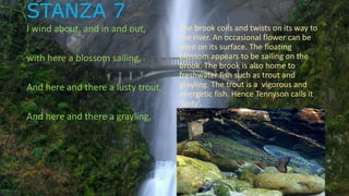 The brook | PPTX | Fish and Aquariums | Pets