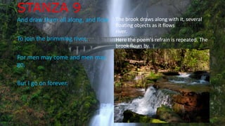 The brook | PPTX | Fish and Aquariums | Pets