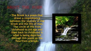 The brook | PPT