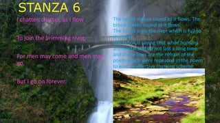 The brook | PPTX | Fish and Aquariums | Pets