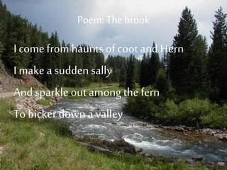 The brook By Rahul Singh | PPTX