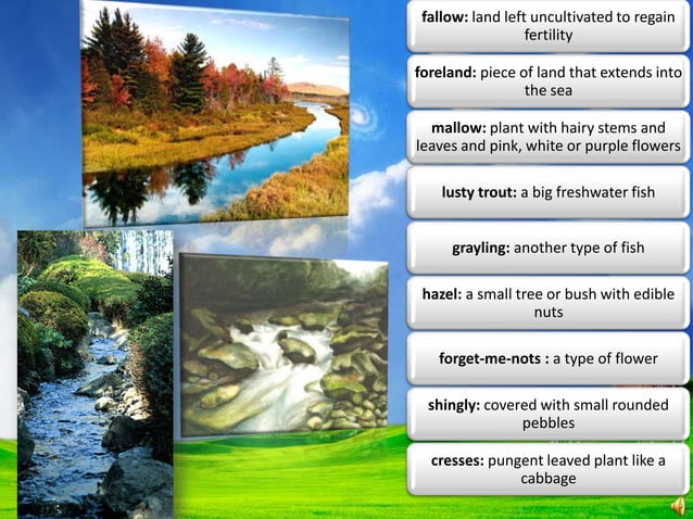 The brook english presentation | PPSX | Poetry | Books and Literature