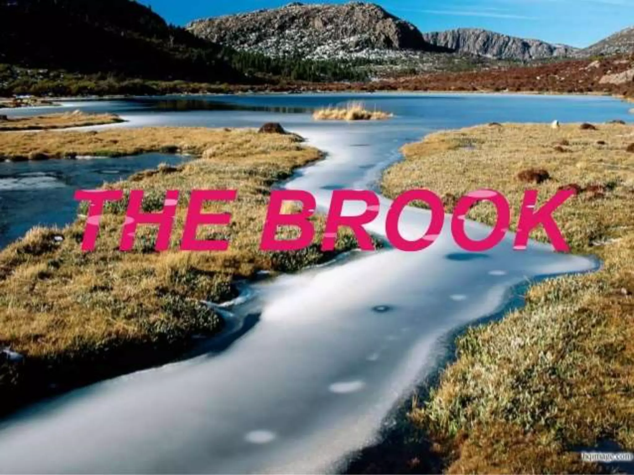 The brook by lord alfred tennyson ppt | PPTX