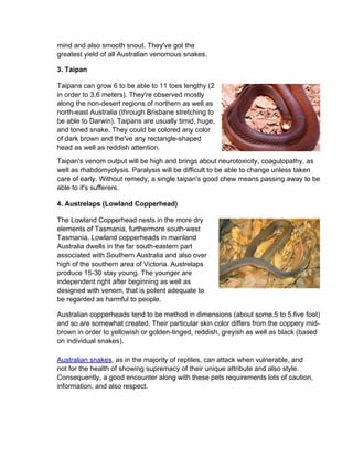 The Brown Snakes of Australia | PDF