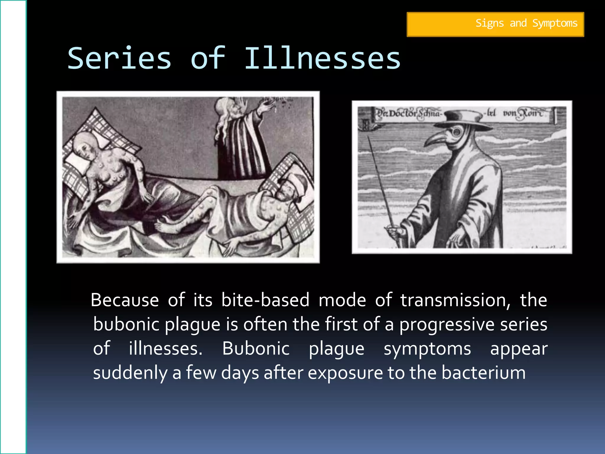 The bubonic plague | PPTX