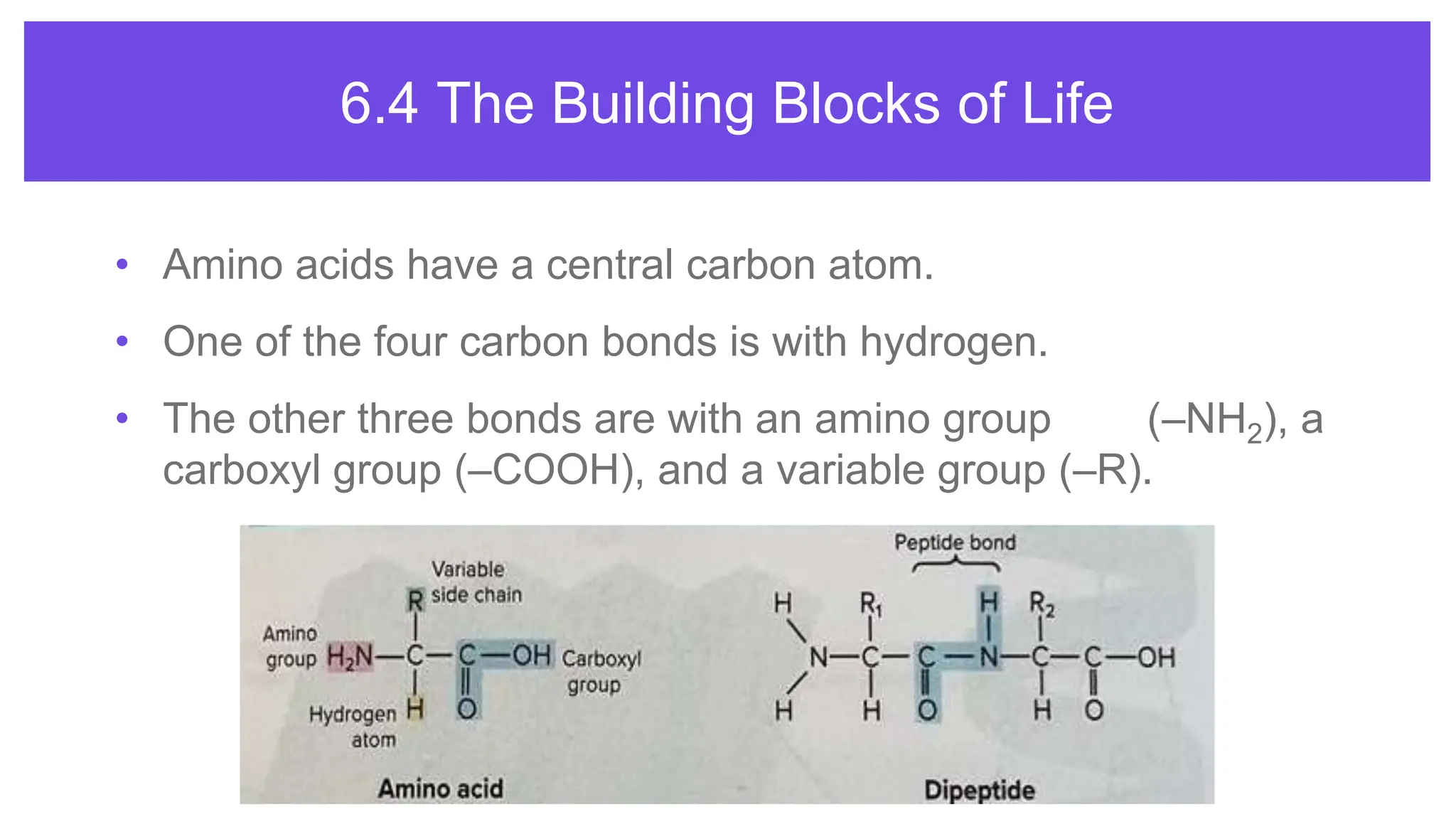 grade 10 biology The Building Blocks of Life.pptx