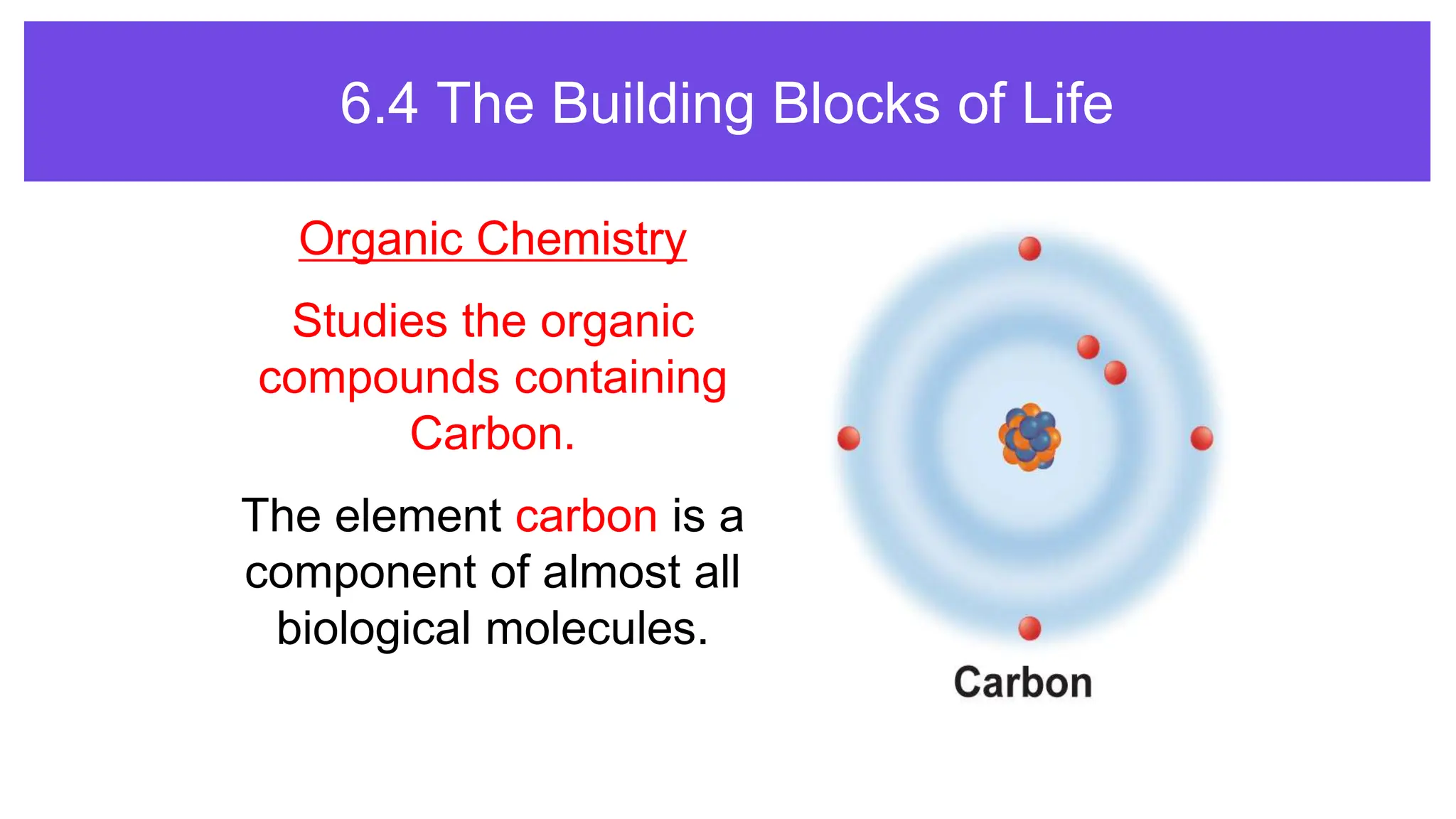 grade 10 biology The Building Blocks of Life.pptx