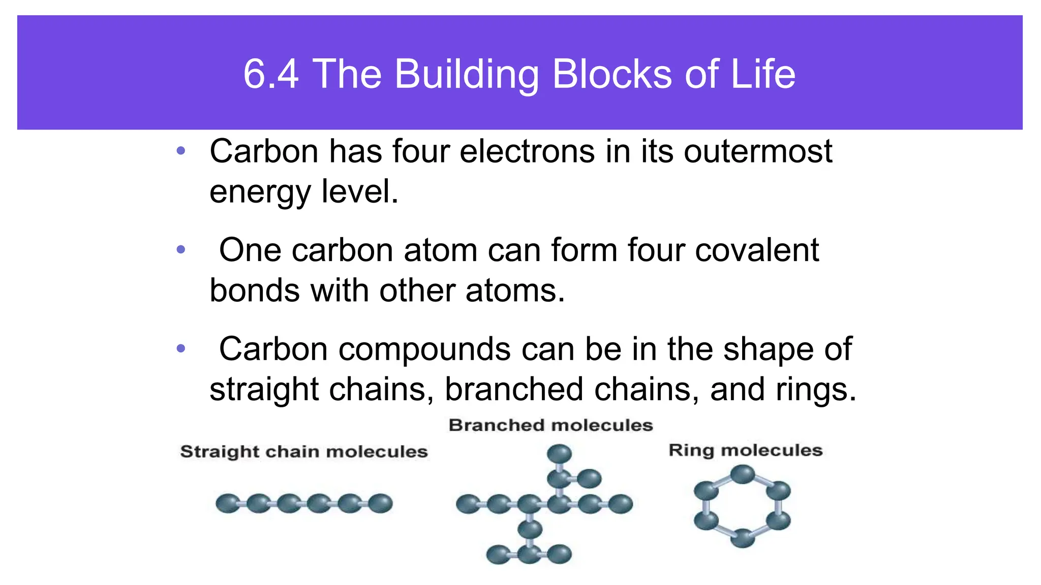 grade 10 biology The Building Blocks of Life.pptx