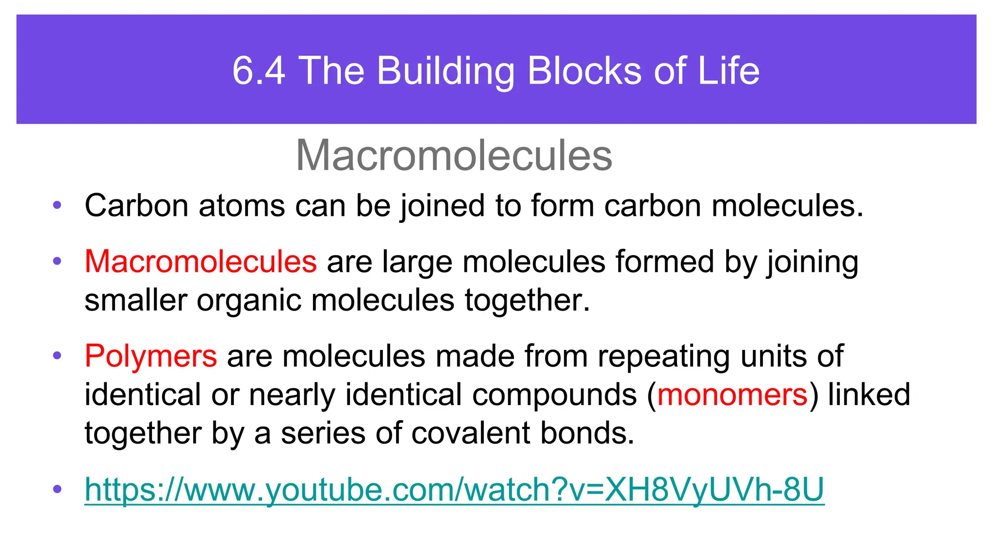 grade 10 biology The Building Blocks of Life.pptx