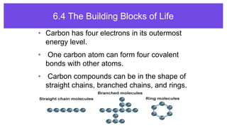grade 10 biology The Building Blocks of Life.pptx