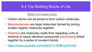 grade 10 biology The Building Blocks of Life.pptx