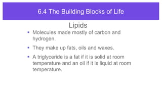 grade 10 biology The Building Blocks of Life.pptx