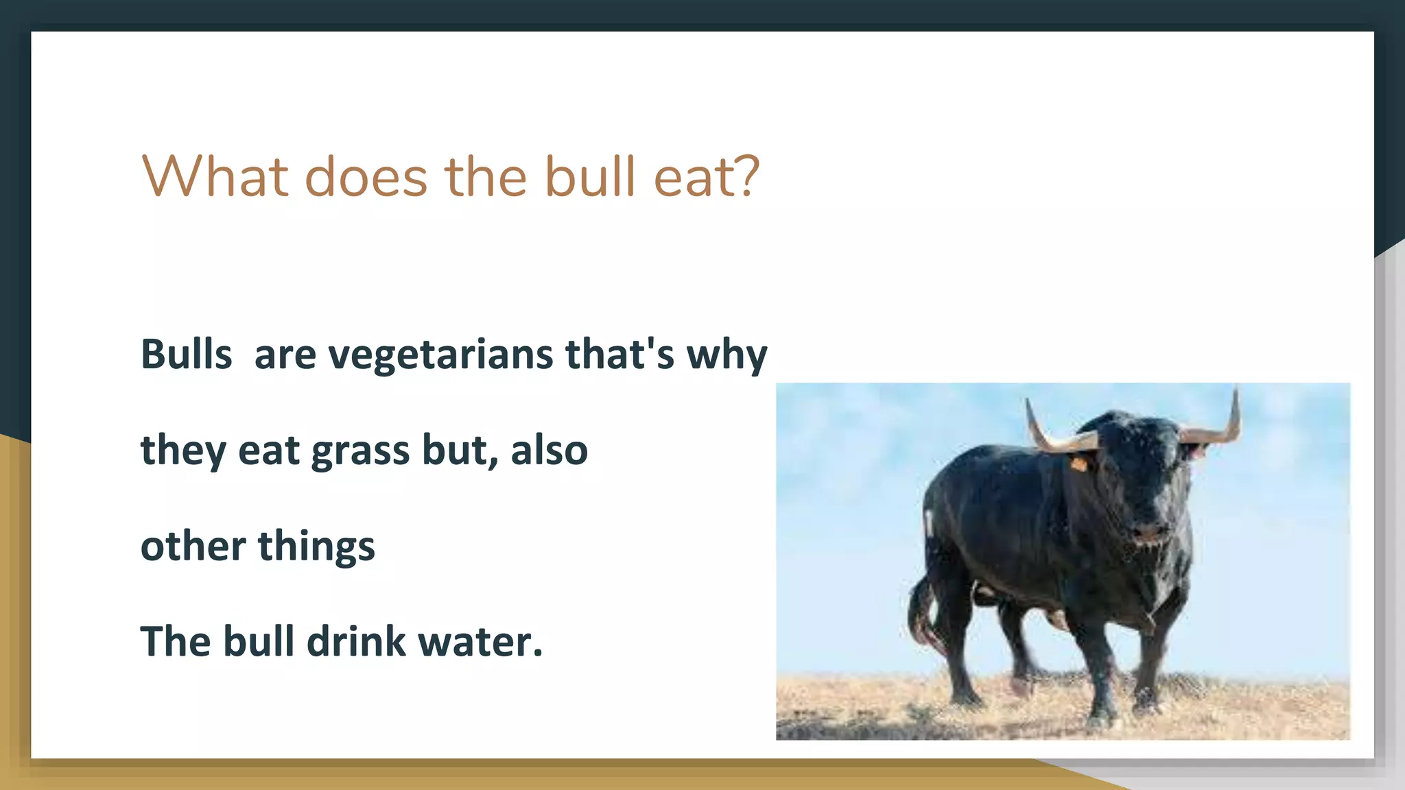 The bull | PPTX