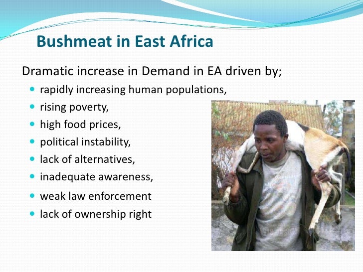The Bushmeat Crisis In Eastern Africa – Presentation to the Universit…