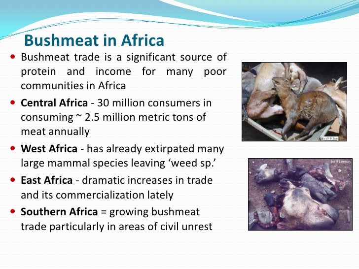 The Bushmeat Crisis In Eastern Africa – Presentation to the Universit…