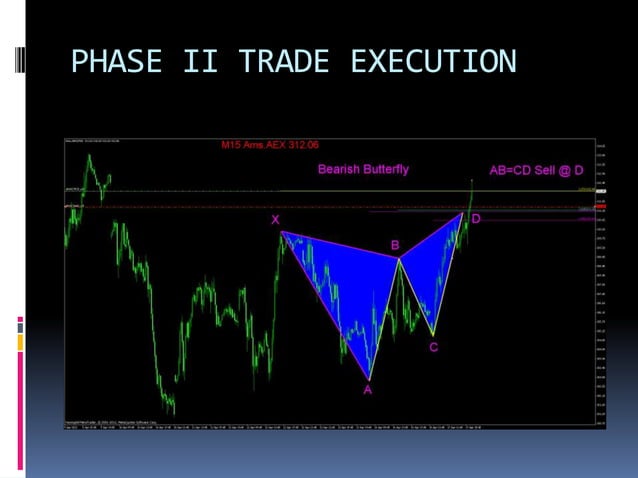 The Butterfly Pattern | PPT