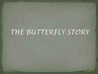 The butterfly story | PPTX