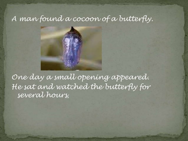 The butterfly story | PPTX